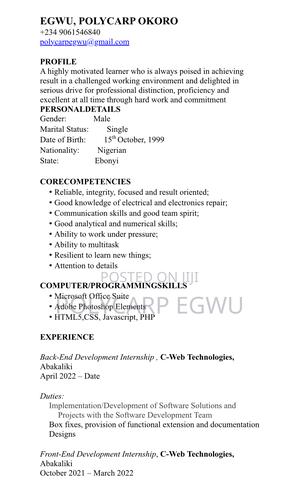Computing IT CV in Ikeja - Computing & IT CVs, Polycarp Egwu | Jiji.ng