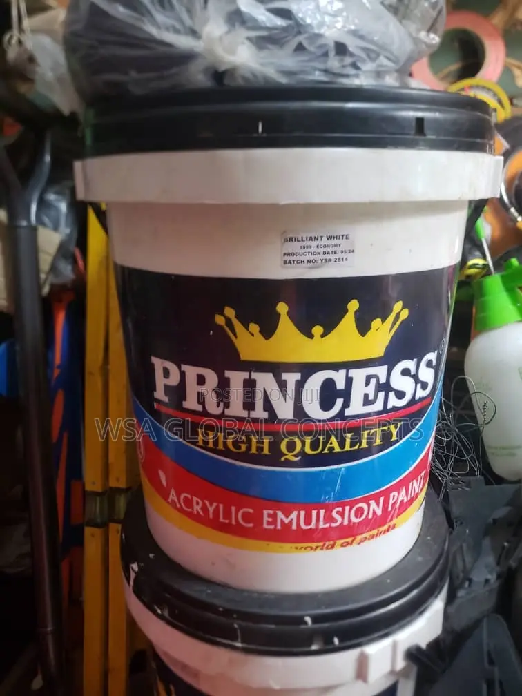 20 Liters Princess Paint Emulsion in Lagos Island (Eko) - Building ...