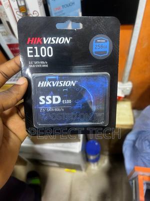 Hikvision E100 256gb 2.5-inch Internal SSD in Lagos Island (Eko ...