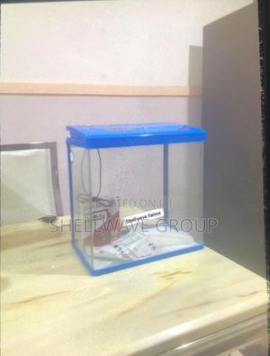 24liters Aquarium With Filter And Light in Ikeja - Fish, Shellwave ...