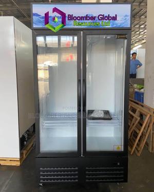 Upright Chiller 2 Door Showcase Fridge in Ojo - Retail & Store ...