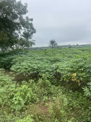Farmland for Sale in Oyo Prices in January 2026 on Jiji.ng