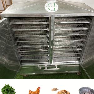 Innovative Fish Drying Oven With Gas Charcoal Options in Duboyi ...