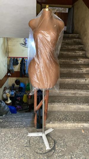 Fully Pinnable BBL Female Body Form in Lagos Island (Eko) - Retail ...