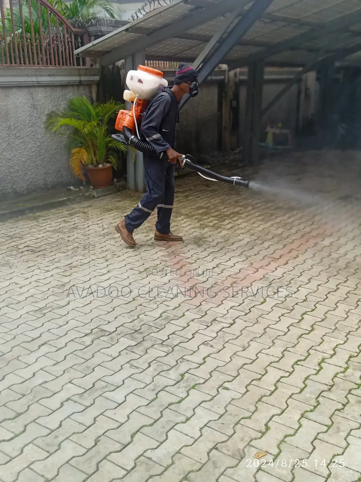 Schedule Your Fumigation Pest Control Appointment Today! in Central ...