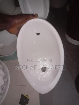 Urinary System Manual in Orile - Plumbing & Water Systems, Michael ...