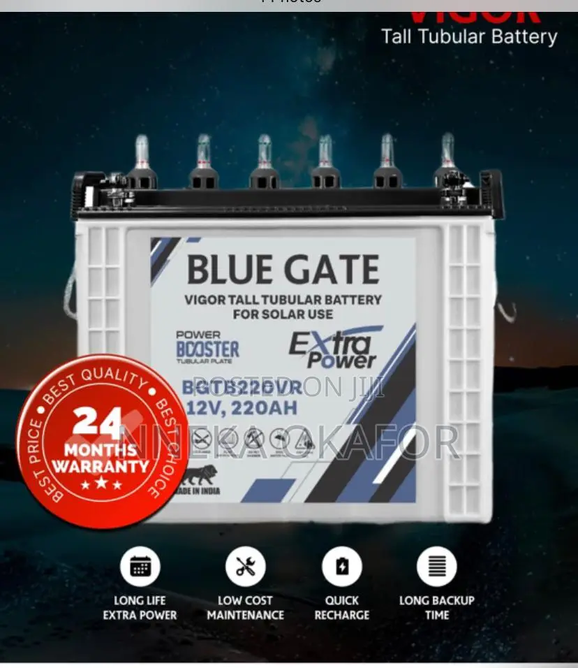 Blue Gate 220ah Tubular Inverter Battery in Surulere - Electrical ...