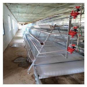 A Type Foreign Layers Cage With Pp Conveyor Cleaning System in Abule ...