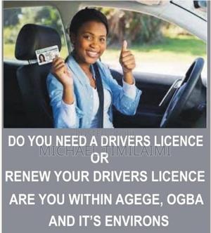 Drivers Licence Processing in Ogba - Other Services, Michael Timilaimi ...