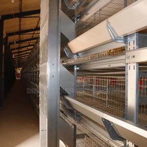 Fully Automated Imported Cage With Auto Feeding System/Set for sale ...