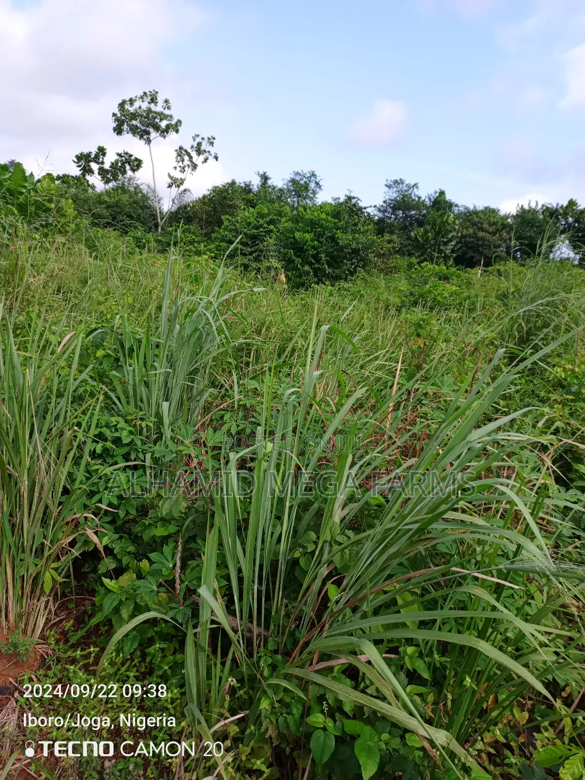 300 Acres of Farmland for Sale at 350,000 Per Acre for sale - Alhamid ...