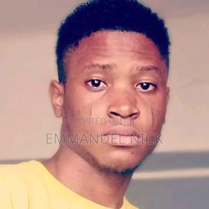 Security CV in Ikorodu - Security CVs, Emmanuel Nick | Jiji.ng