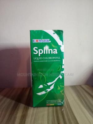 Edmark Splina Liquid Chlorophyll in Amuwo-Odofin - Vitamins ...