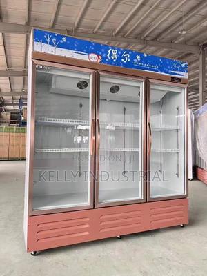 Three (3) Door Display Chiller (2 Door Also Available) in Ojo ...