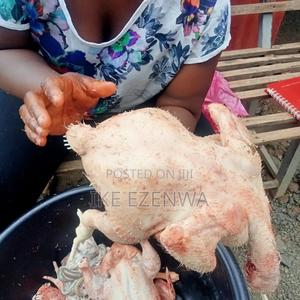 Live Dressed And Frozen Chicken in Kado - Meals & Drinks, Ikechukwu ...