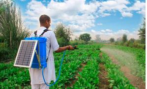 16L Solar Powered Sprayer Agricultural Knapsack Battery in Lagos Island ...