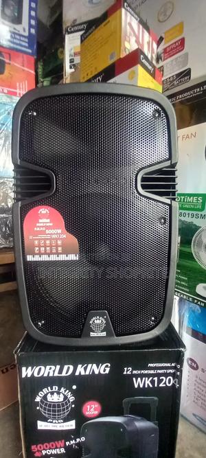 Rechargeable Public Address System - 12" in Lagos Island (Eko) - Audio ...