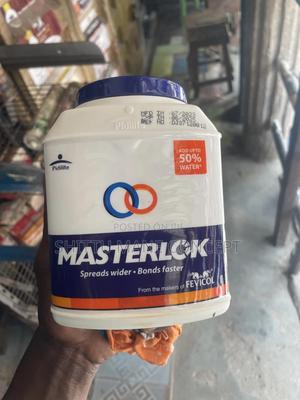Masterlock Fevicol Adhesive for sale - Shittu mane concept Price: ₦ ...