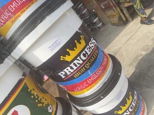20 Liters High Quality Princess Emulsion Paint in Lagos Island (Eko ...