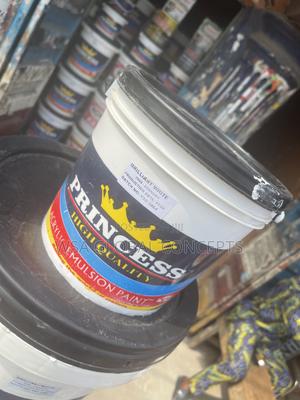 4 Liters High Quality Princess Emulsion Paint in Lagos Island (Eko ...