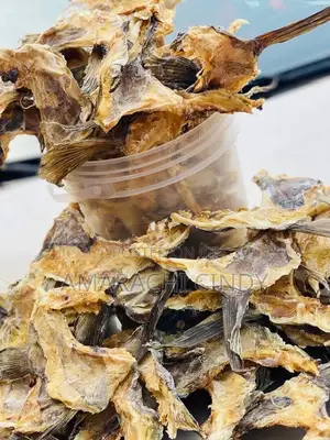 Stockfishes in Nigeria for sale Prices on Jiji.ng