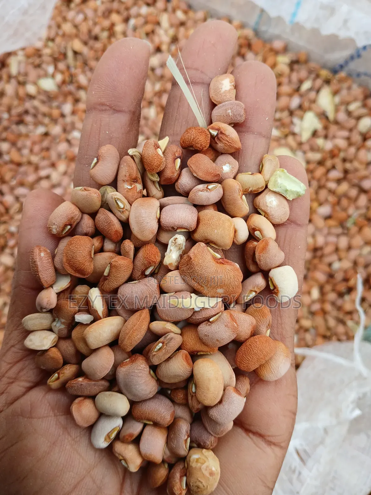 Brown Beans (Drum)/(Olotu) 100kg in Maiduguri - Food & Beverages ...