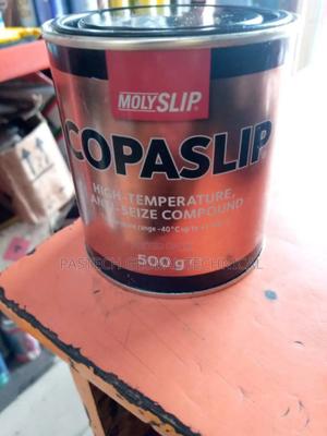 Molyslip Copaslip High-Temperature Anti-Seize Compound 500G in Port ...