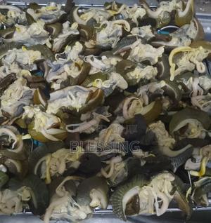 Dried/Fried Snail in Ifako-Ijaiye - Farm Animals, Blessing Edealo | Jiji.ng