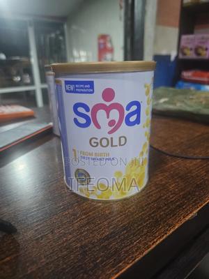 Sma Gold 1 Small in Kosofe - Care & Feeding, Ifeoma Okike | Jiji.ng