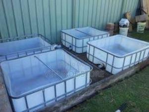 Fish Farming Tank IBC Storage Tank in Ado-Odo/Ota - Pet Accessories ...