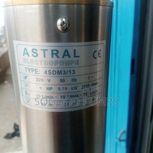 Astral Submersible Pump Type 0.75kw/1hp for sale - Sogood pumps Price ...