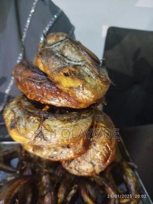 PANLA Fish in Kubwa - Meals & Drinks, Keji Olayode | Jiji.ng