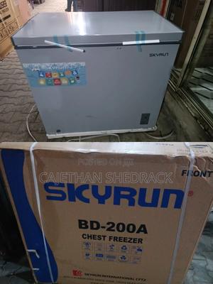 Skyrun Retention & Anti-rust Chest Freezer - Bd-200a - 200L in Ojo ...