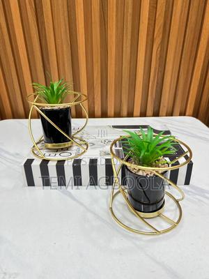 Poise Flower for sale - Temi Agboola Price: ₦ 9,500 on Jiji.ng [Lagos ...