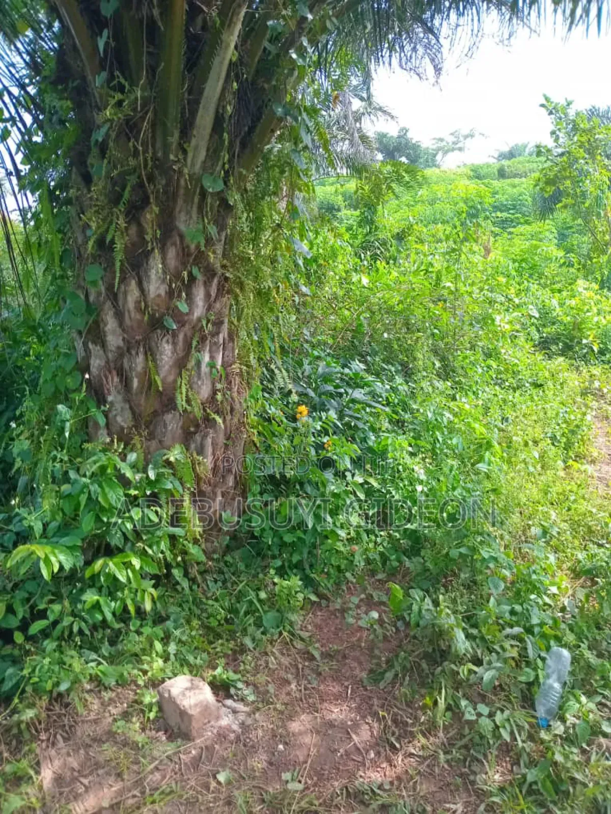 Plots of Land for Sale for sale - Adebusuyi Gideon Price: ₦ 1,700,000 ...