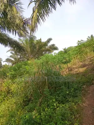Plots of Land for Sale for sale - Adebusuyi Gideon Price: ₦ 1,700,000 ...