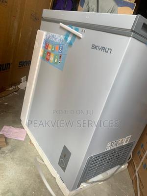 The Perfect Freezer for Families - Skyrun 145L BD-145A in Ojota ...