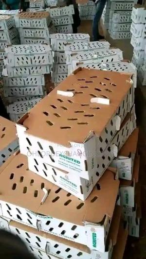 Day Old Chicks in Akoko-Edo - Farm Animals, Ofuje Jonah | Jiji.ng