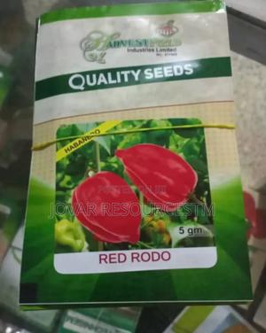 Best Hot Pepper Scotch Bonnet Ata Rodo Habanero Seed Seedlng in Ibadan ...