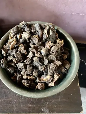 Cows in Nigeria for sale Prices on Jiji.ng