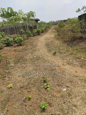 A Cheap Plot of Dry Land in Igando / Ikotun/Igando - Land & Plots for ...