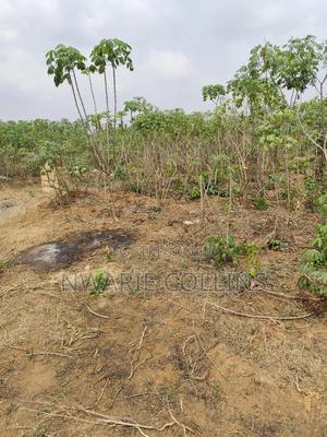 Half Plot of Dry Land in Igando / Ikotun/Igando - Land & Plots for Sale ...