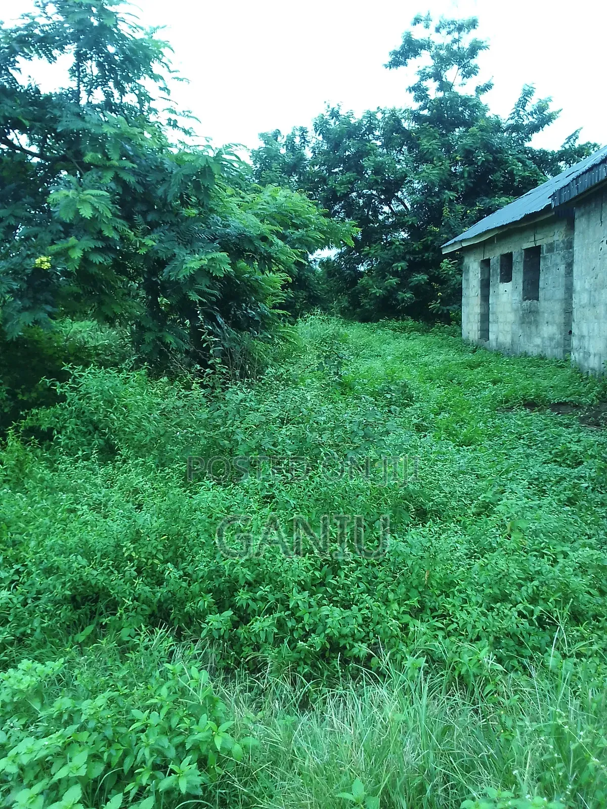 Lands and Property for Sale . Still Available in Ifo - Land & Plots for ...