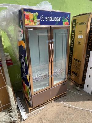 Double Door Display Chiller/Supermarket Display Chiller in Ojo ...