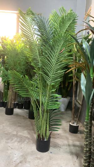 Artificial Palm Tree Plant in Ikeja - Home Accessories, Radiant Beauty ...