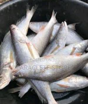 Fresh Crocker Fish in Ikeja - Meals & Drinks, Paraclete Store | Jiji.ng