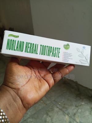 Norland Mint Flavour Toothpaste in Ikeja - Oral Care, Ofonime Etuk ...