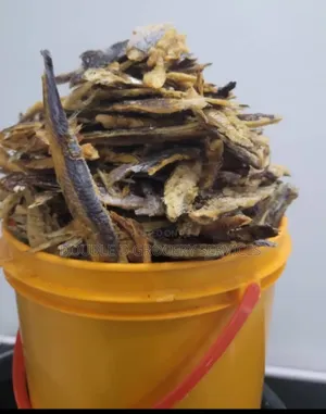 Dried Fresh Fish in Nigeria for sale Prices on Jiji.ng