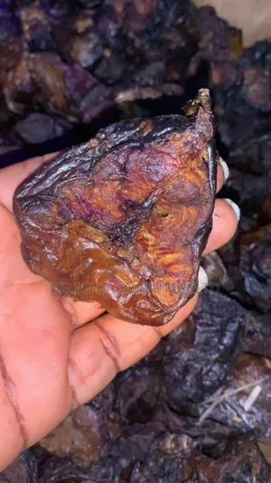 Fresh Fish in Nigeria for sale Prices on Jiji.ng