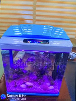 7liters Aquarium With Fishes and Decor in Ikeja - Fish, Shellwave Farms ...